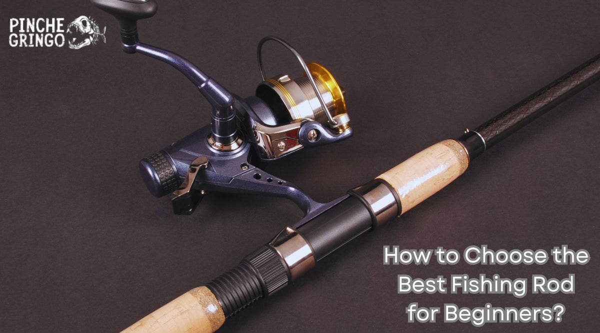 How to Choose the Best Fishing Rod for Beginners? – Pinche Gringo